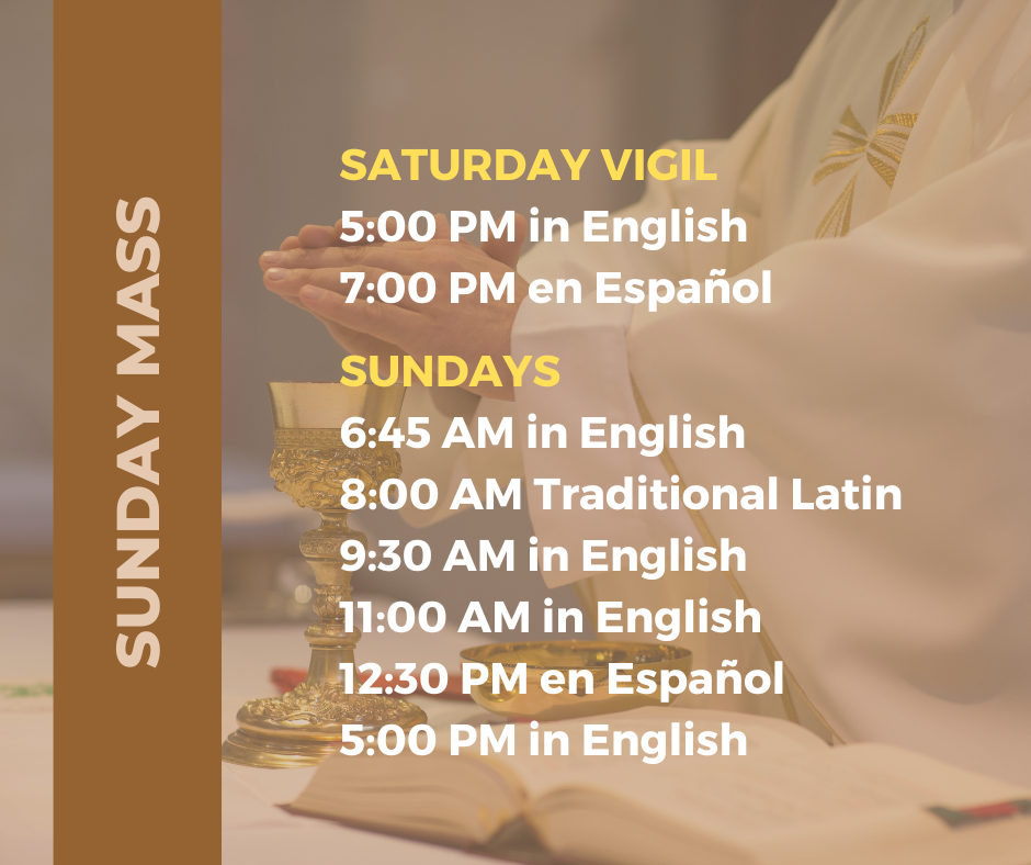 Mass and Confession Times | St. Michael Catholic Church